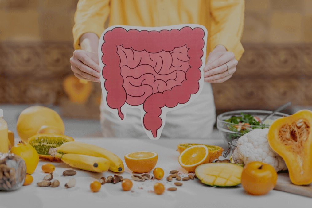 Gut Health Trends: Global Market Overview & Innovation Insights