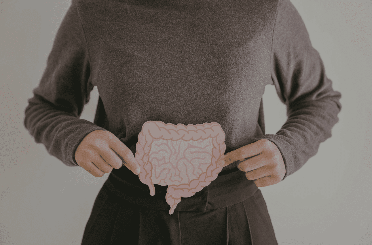 Gut Health Trends 2026: The Holistic Health Hub & Global Insights
